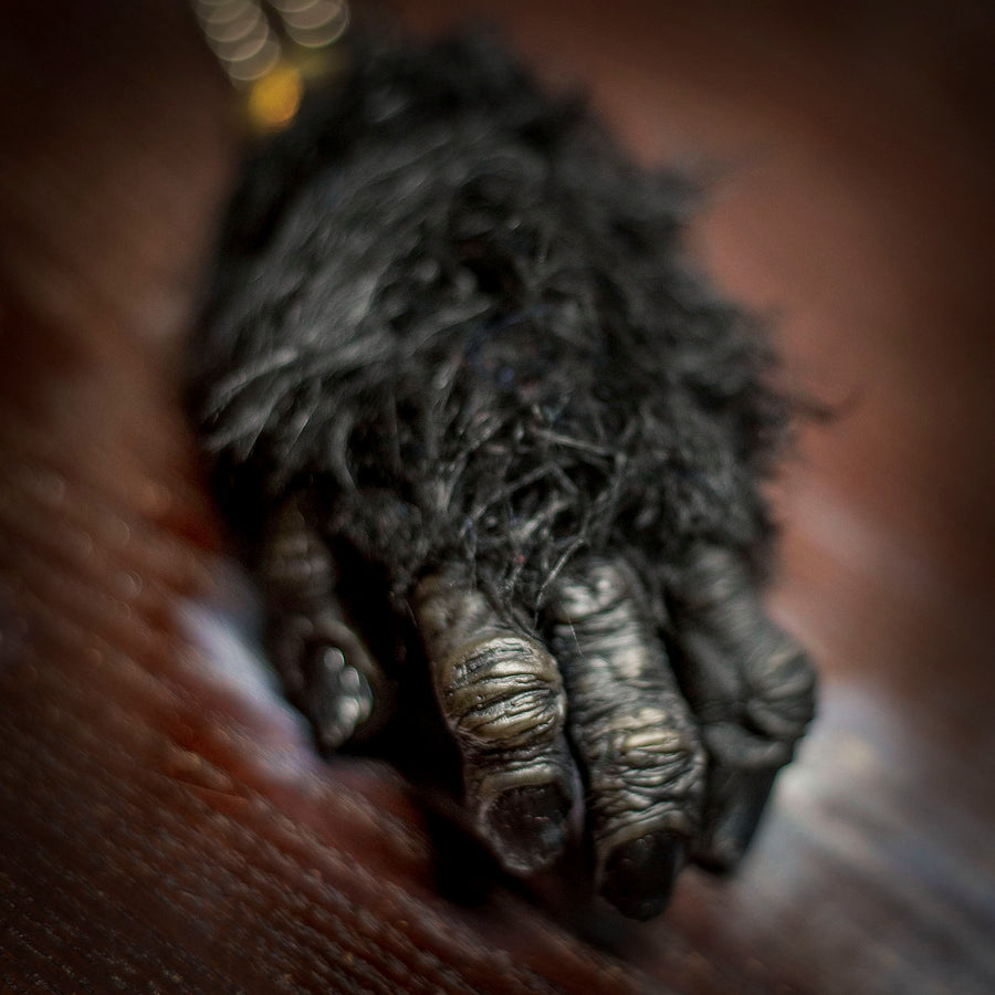 Cursed Monkey Paw Sculpture (Black) – The Monster Sandbox